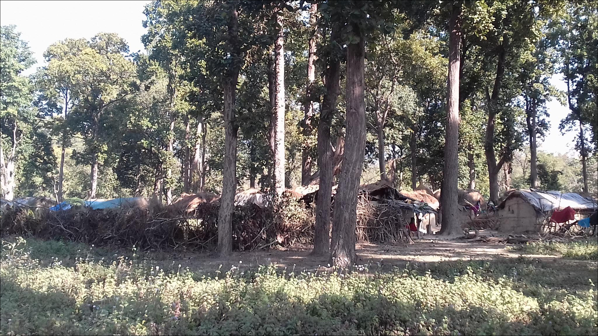 चुरेमा मनमौजी जग्गा बाँड्ने तयारी- समाचार - कान्तिपुर समाचार