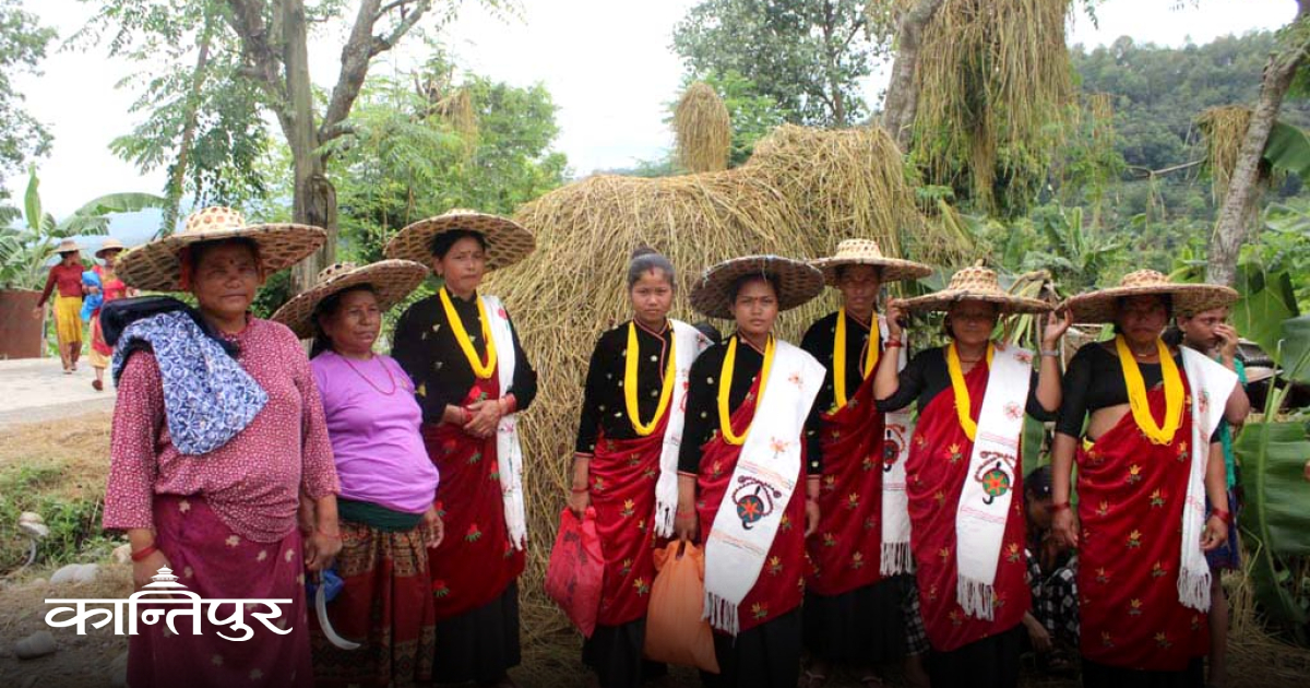 घाम–पानी छेक्ने ‘छत्री’- फिचर - कान्तिपुर समाचार