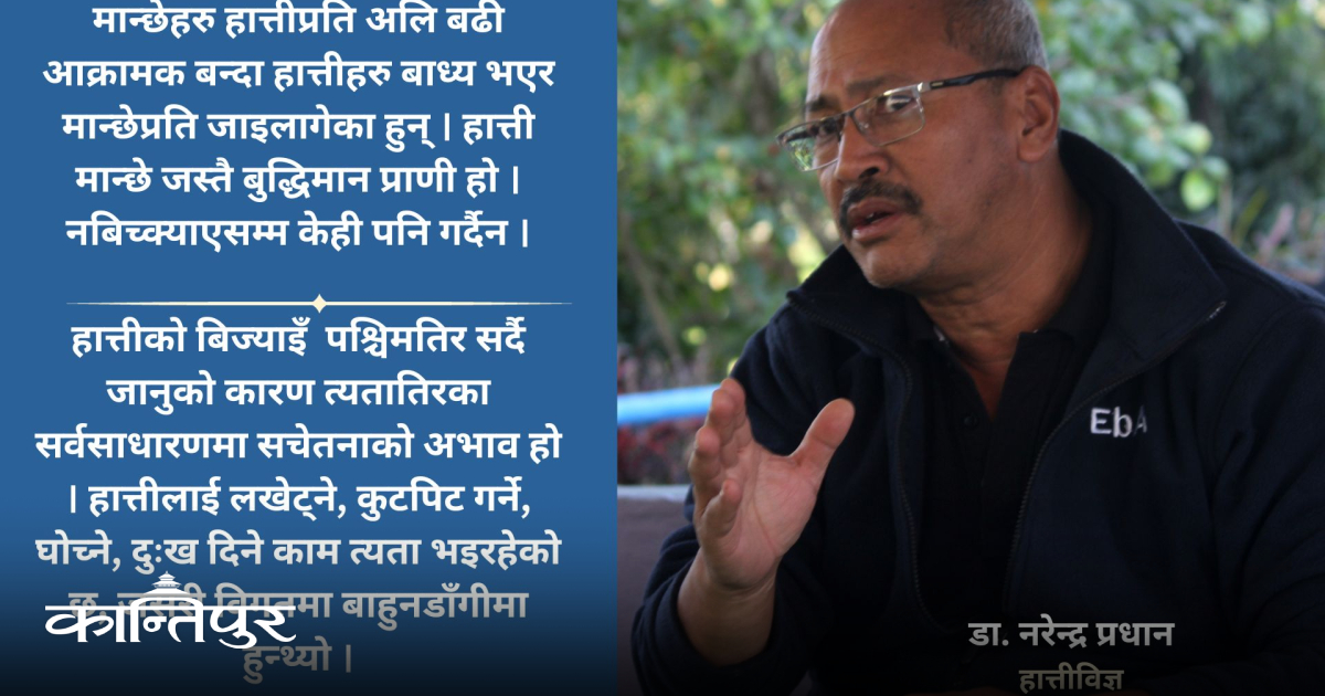 'हात्तीको बासस्थानमा बस्ती बसाउँदा मान्छेसँग द्वन्द्व बढ्यो'- कुराकानी ...