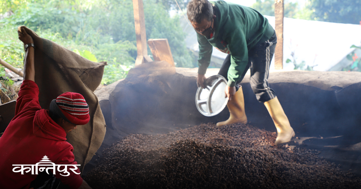 किसानलाई अलैंची भित्र्याउन भ्याइनभ्याइ- अर्थ / वाणिज्य - कान्तिपुर समाचार