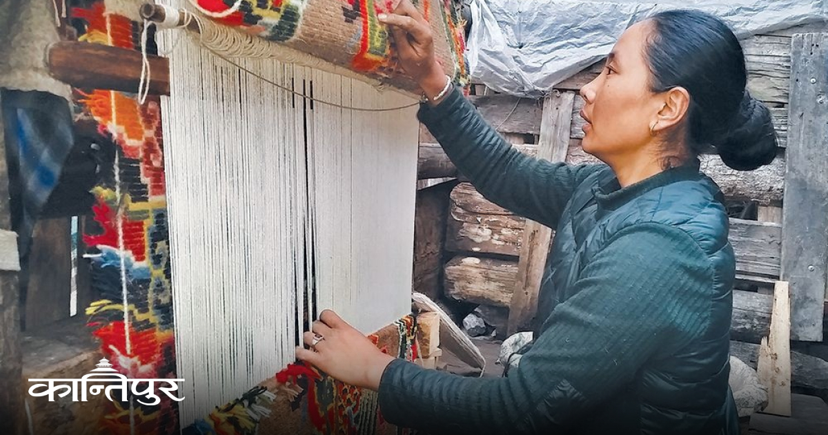 गत वर्ष ११ अर्ब ५० करोडको गलैंचा निर्यात, आधाभन्दा धेरै अमेरिकामा- अर्थ ...