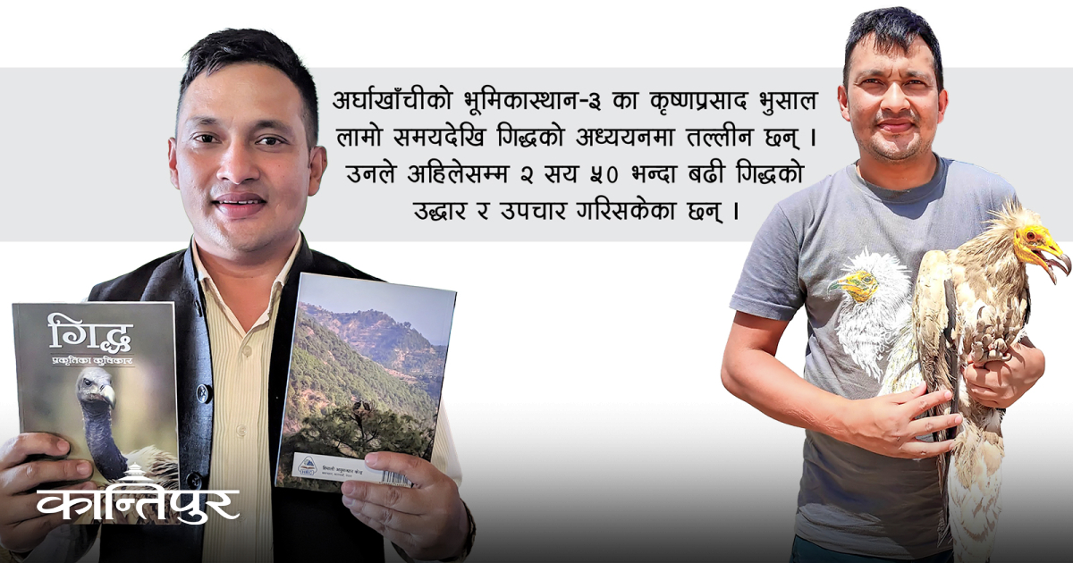 गिद्ध ‘गोठाला’- फिचर - कान्तिपुर समाचार