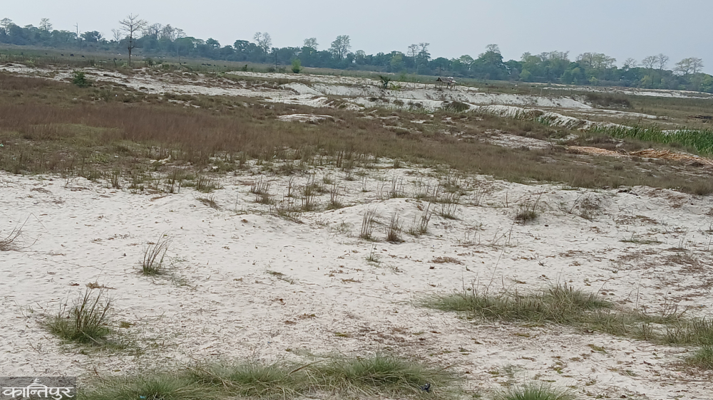 15 years of Koshi flood: The victims have not yet received the declared ...