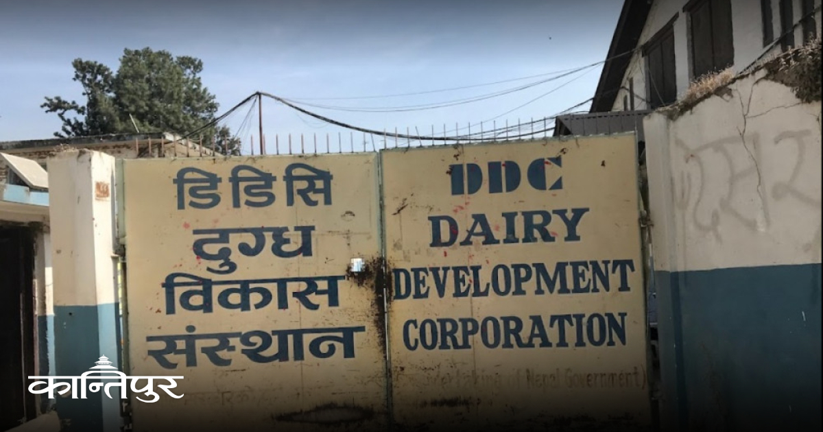 डीडीसीबाट किसानलाई छैन भुक्तानी, कर्मचारीलाई महिनाकै २८ लाखको दूधघिउ ...