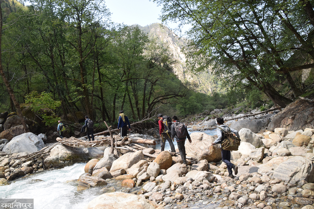 यार्चा संकलकलाई हिमपहिरोको जोखिम- न्युज फोल्डर - कान्तिपुर समाचार