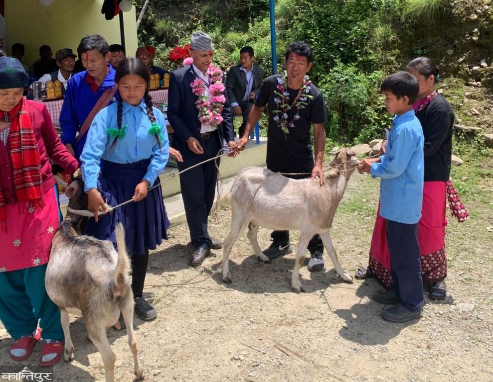 Goats are earned by selling vegetables to students, poor and poor ...