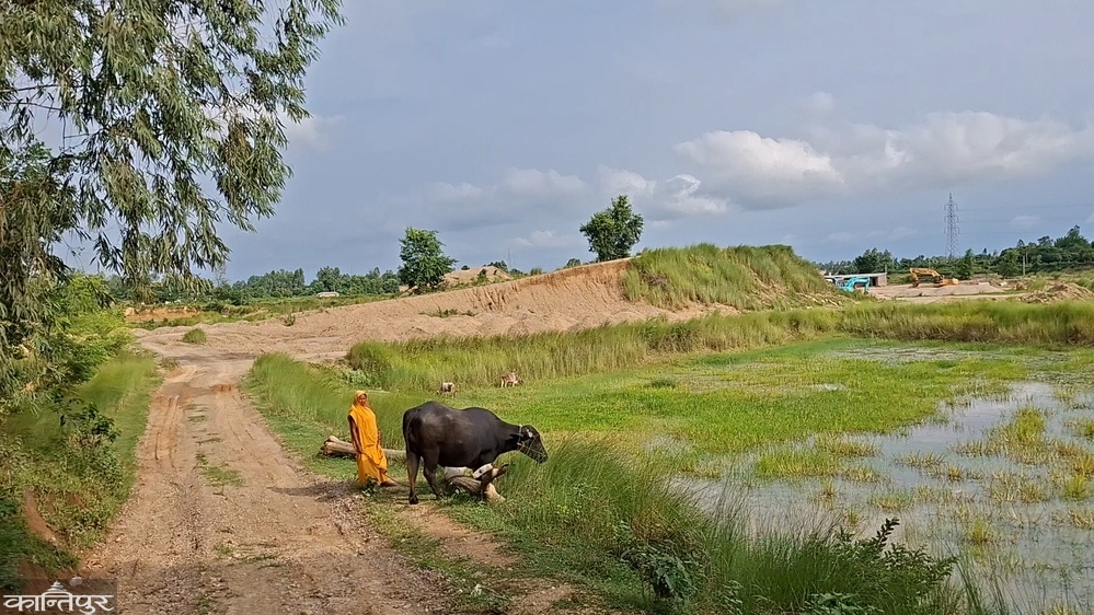मनलाग्दी उत्खननले धनगढीमाईका दर्जनौँ बस्ती संकटमा, क्रसर सञ्चालकको डरले ...