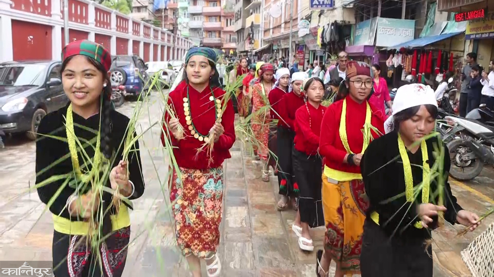 This is how Ropai Jatra was celebrated in Palpa- लुम्बिनी - कान्तिपुर ...