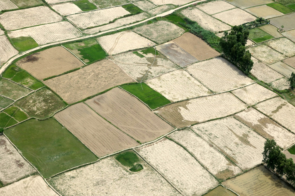 Announcement of immediate 500 deep boring connections in drought affected Madhesh- मधेश ...